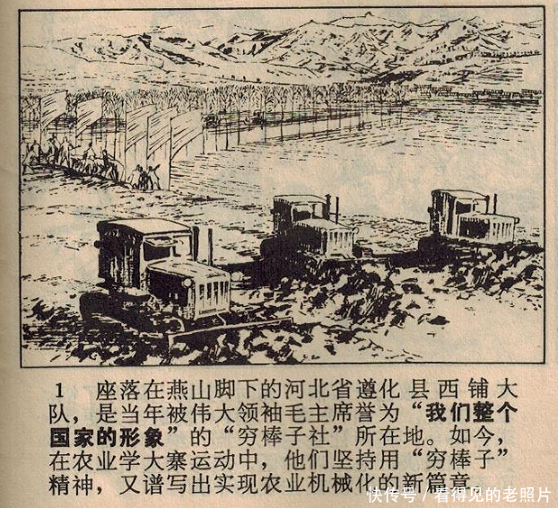 文章图片