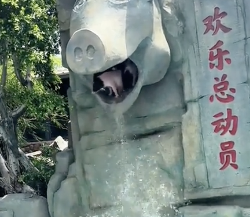 文章图片