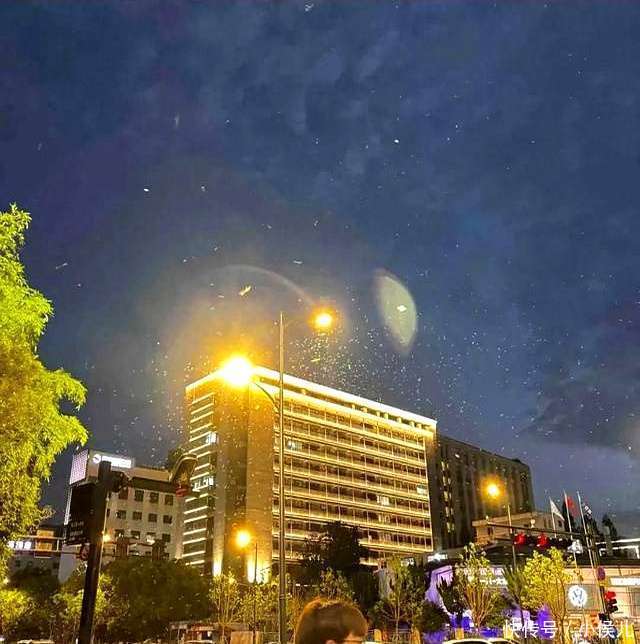 文章图片