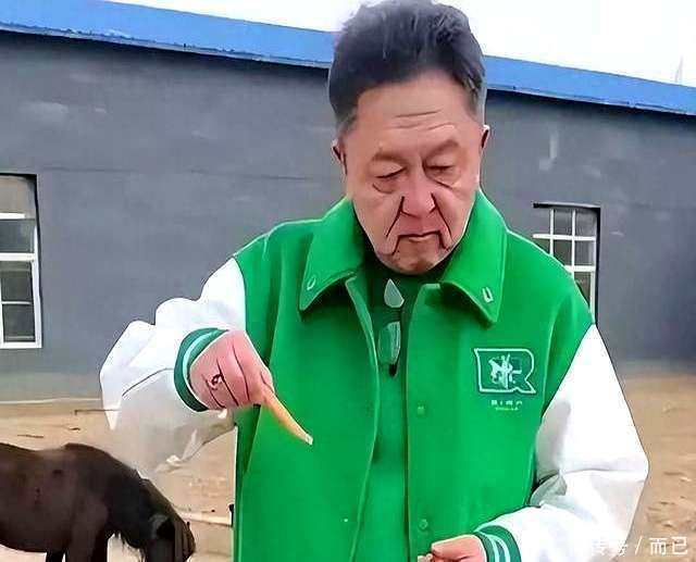 文章图片