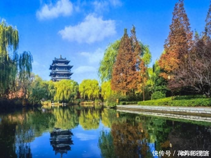文章图片