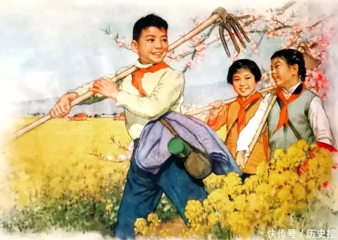 文章图片