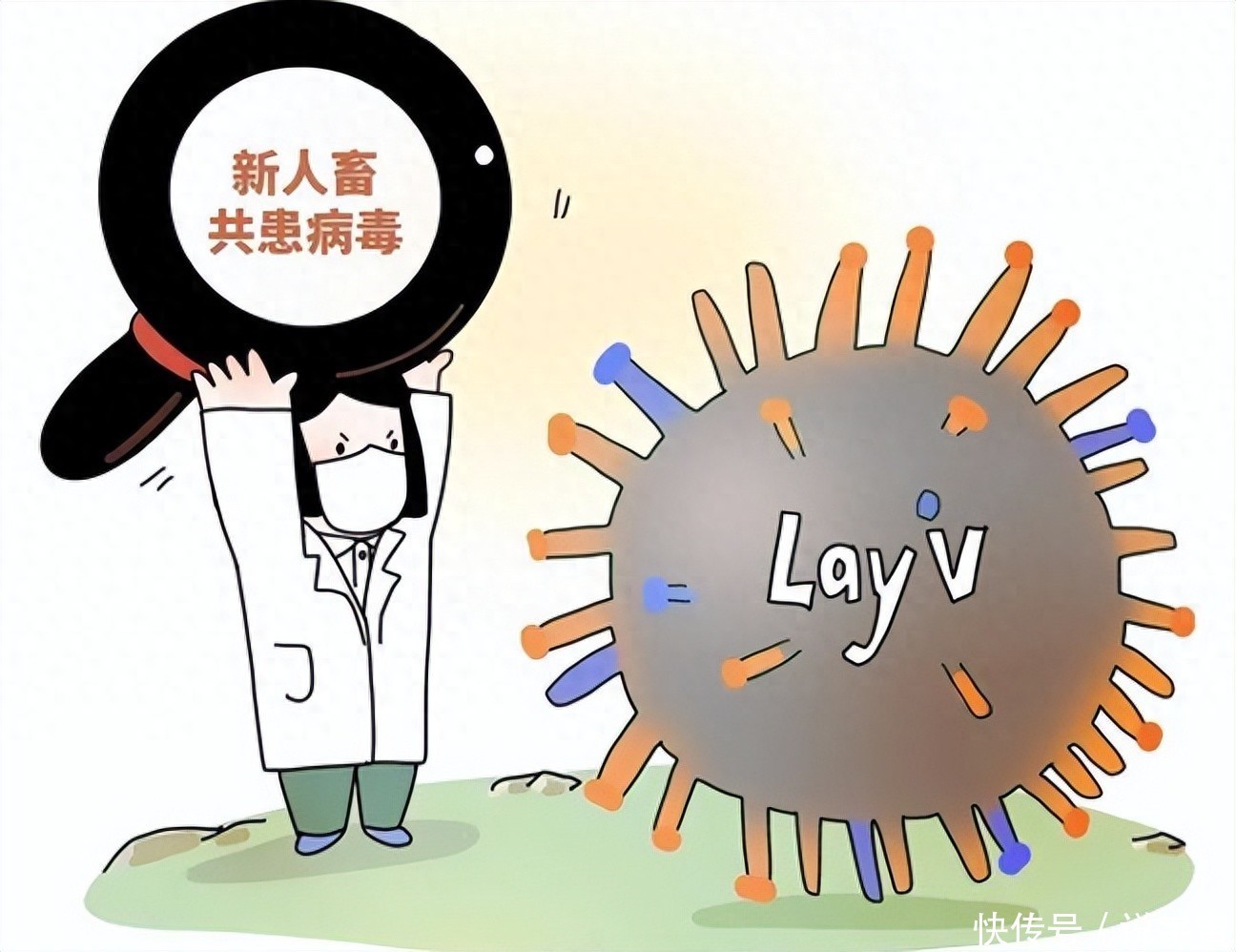 文章图片