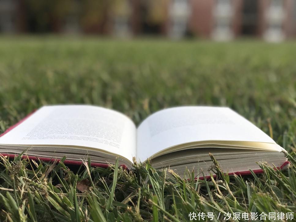 文章图片