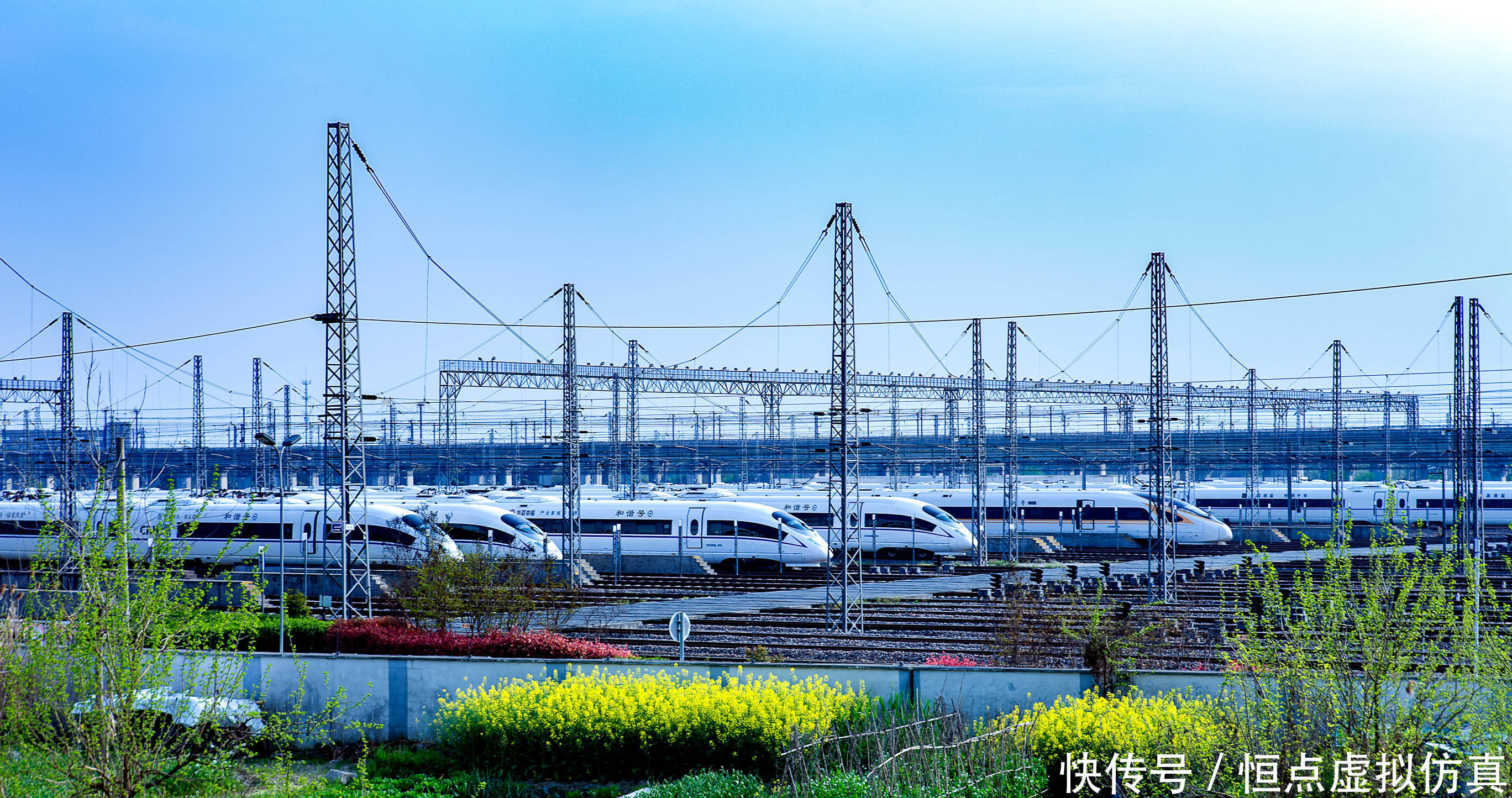 文章图片