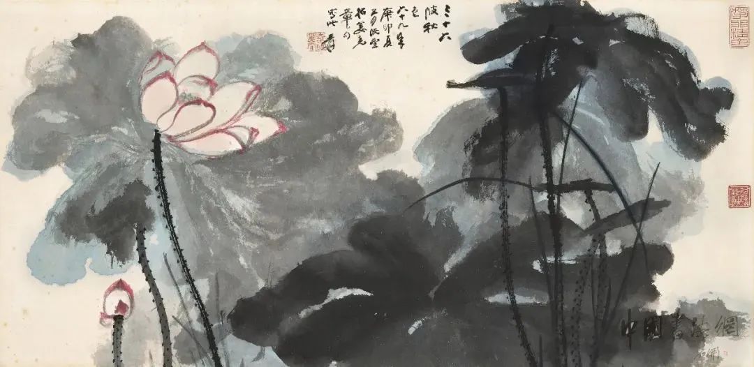 文章图片
