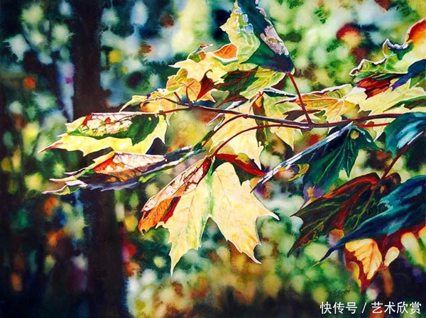 文章图片