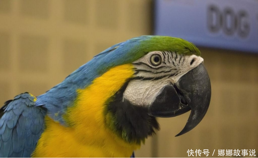 文章图片