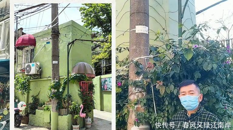 文章图片