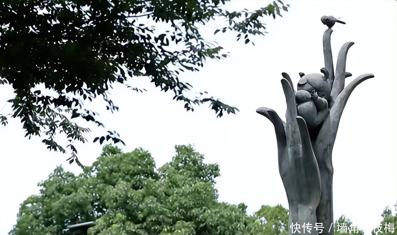 文章图片