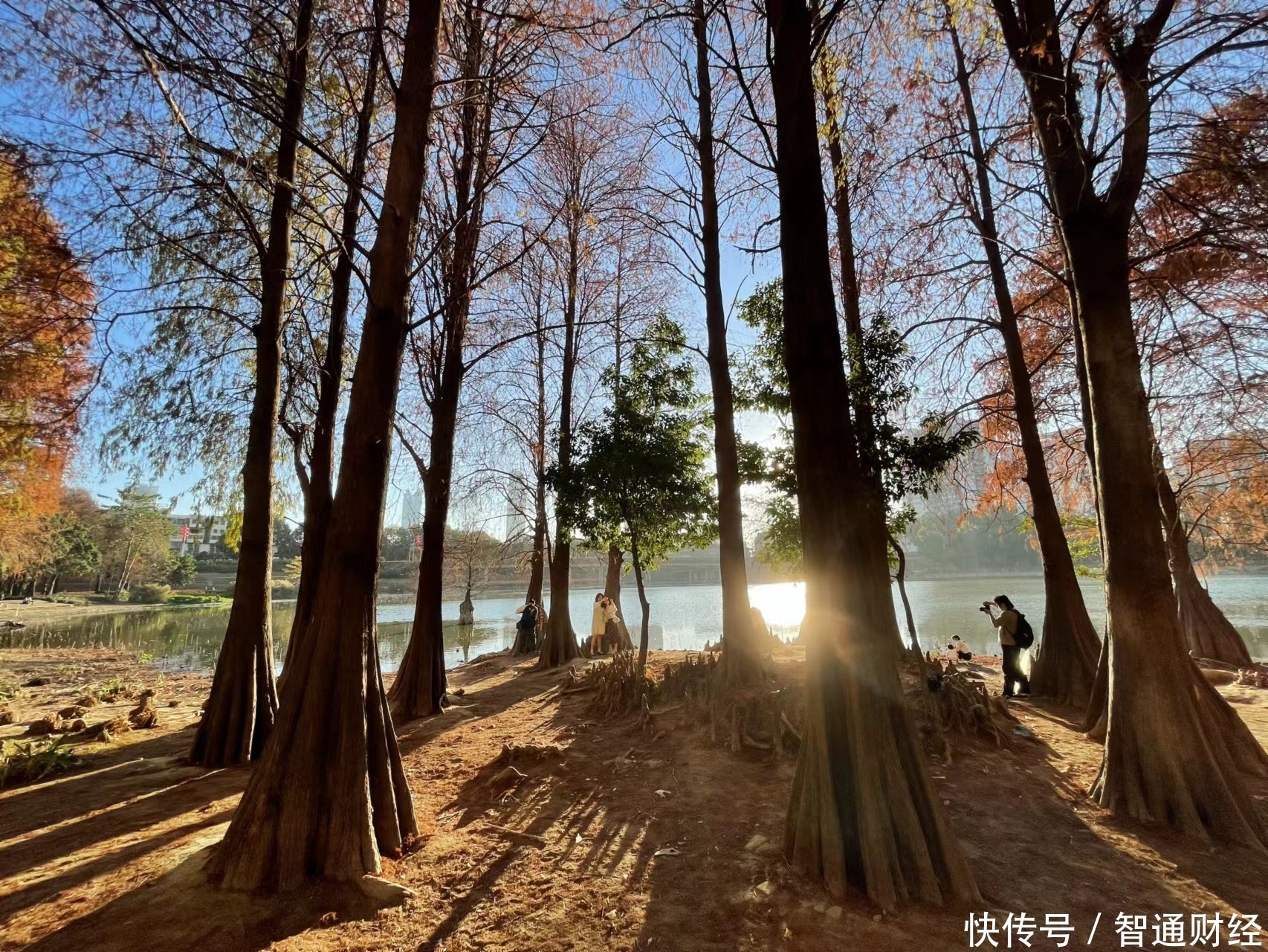 文章图片