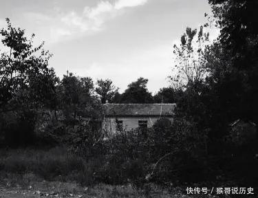 文章图片