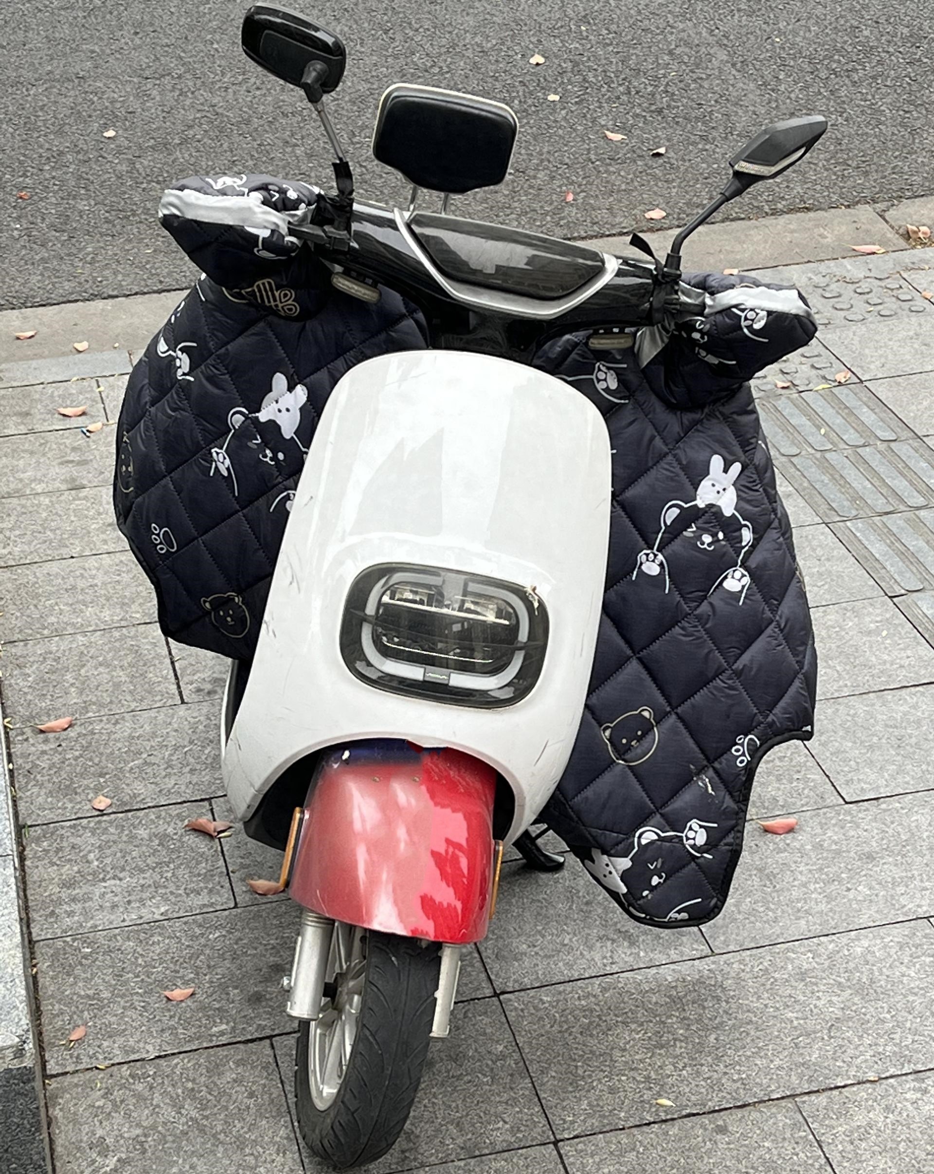 文章图片