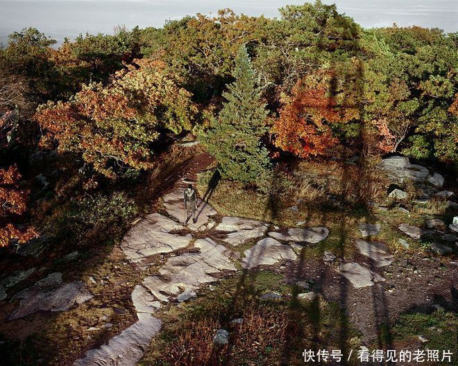 文章图片