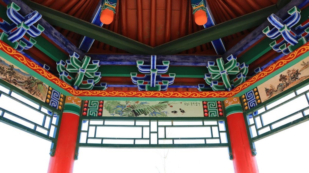 文章图片