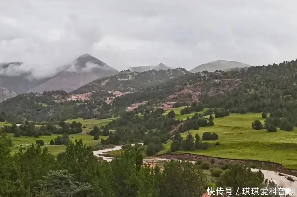 文章图片