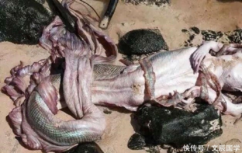 文章图片