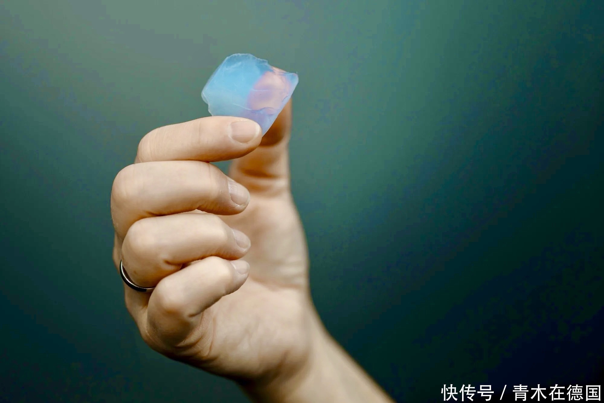 文章图片