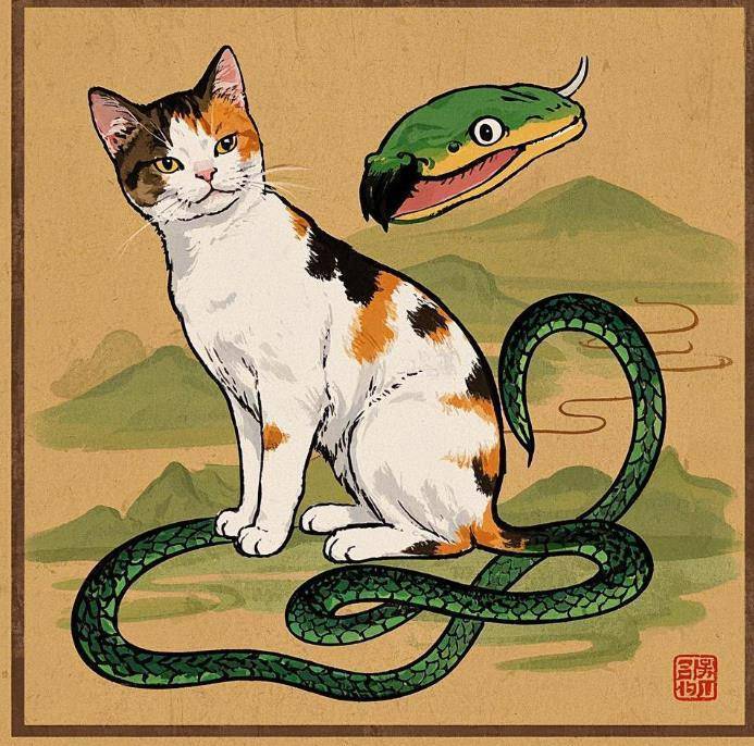 文章图片