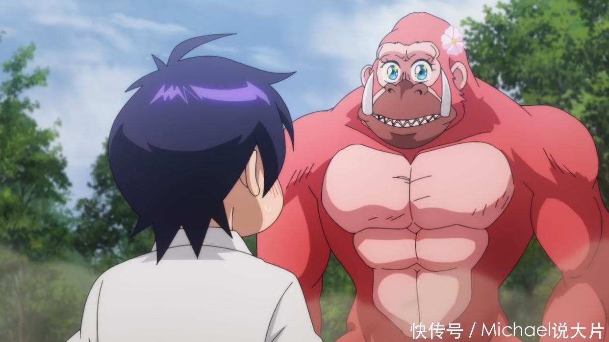 文章图片