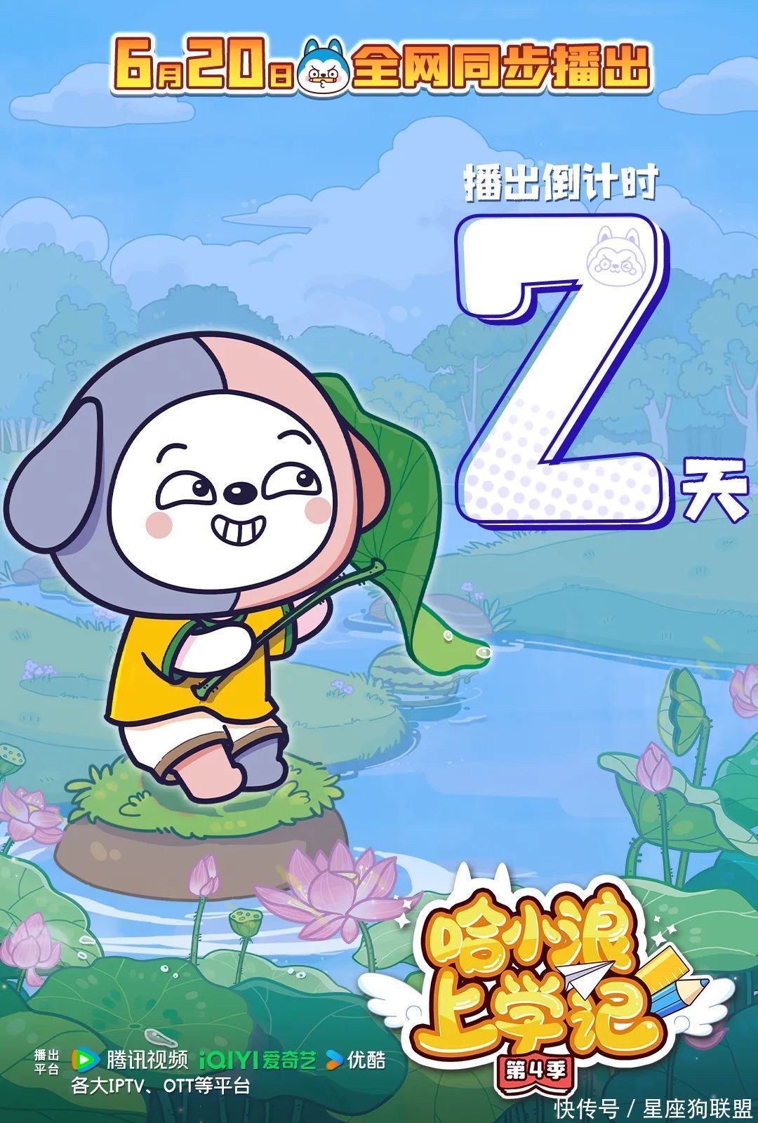 文章图片