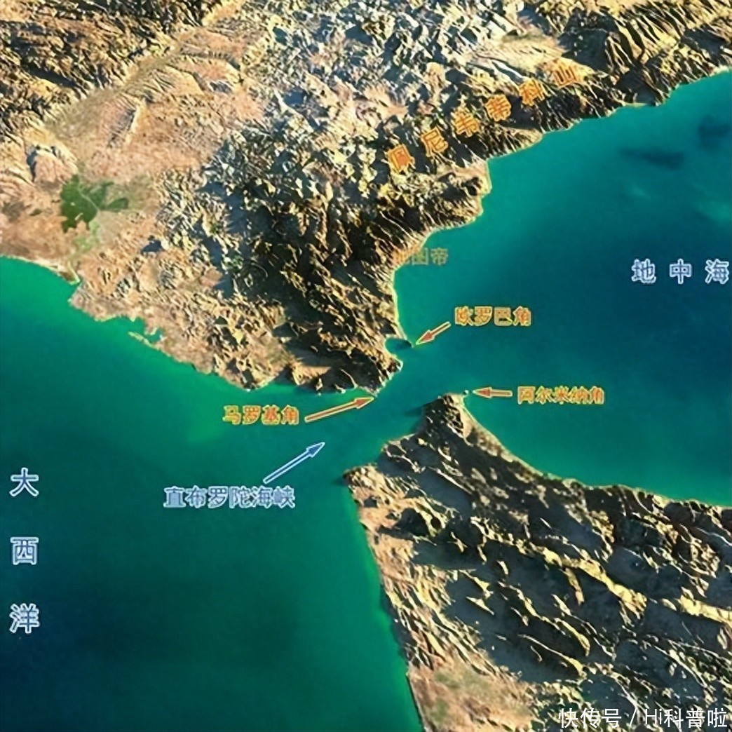 文章图片