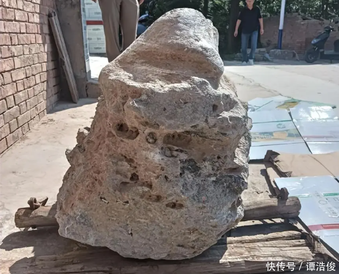 文章图片