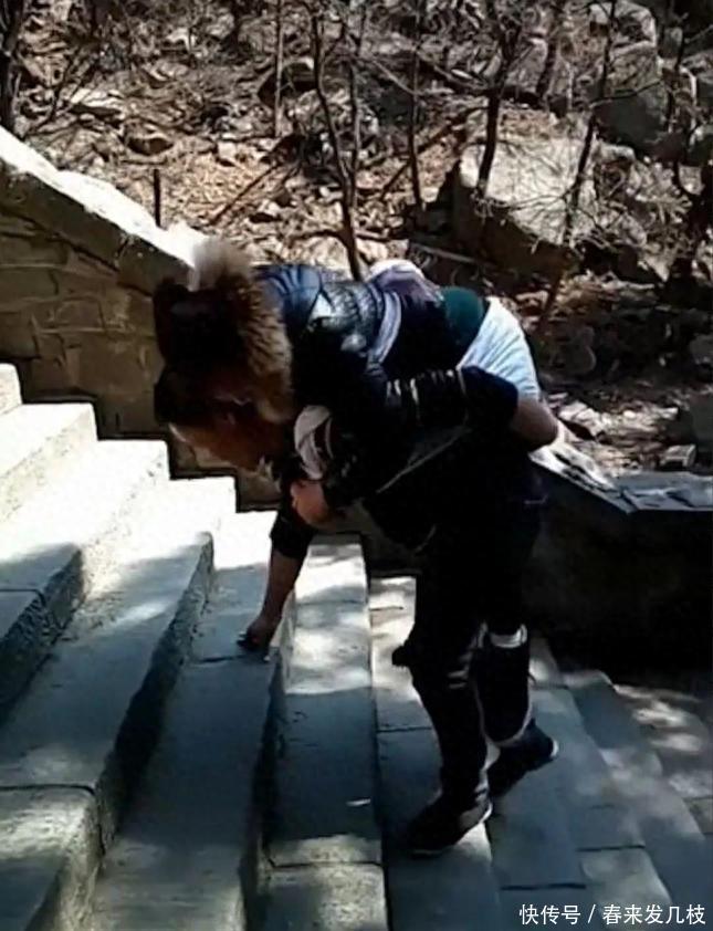 文章图片