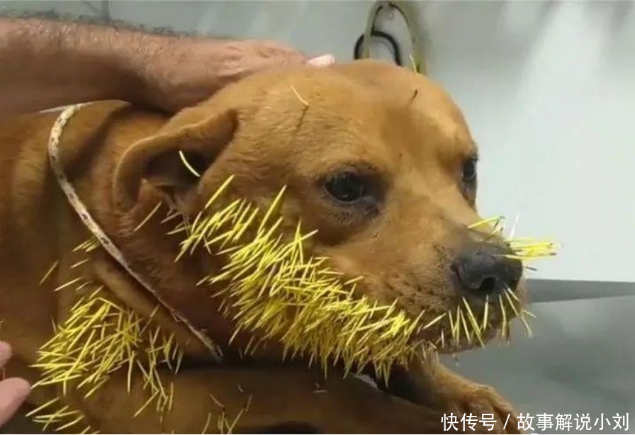 文章图片