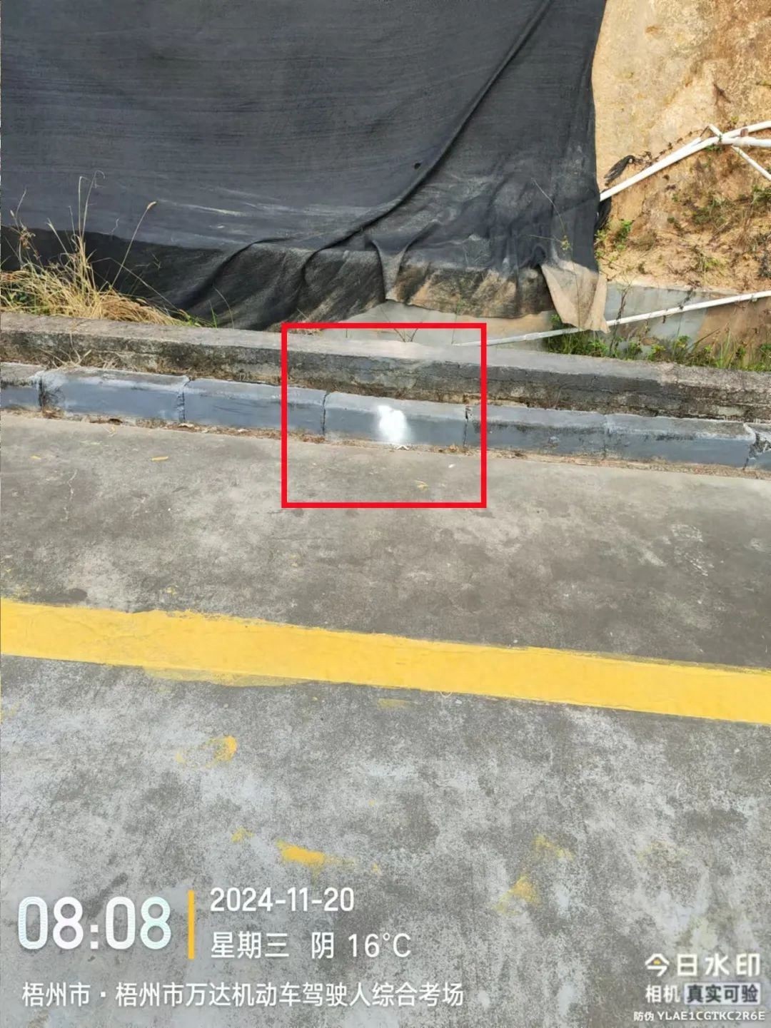 文章图片